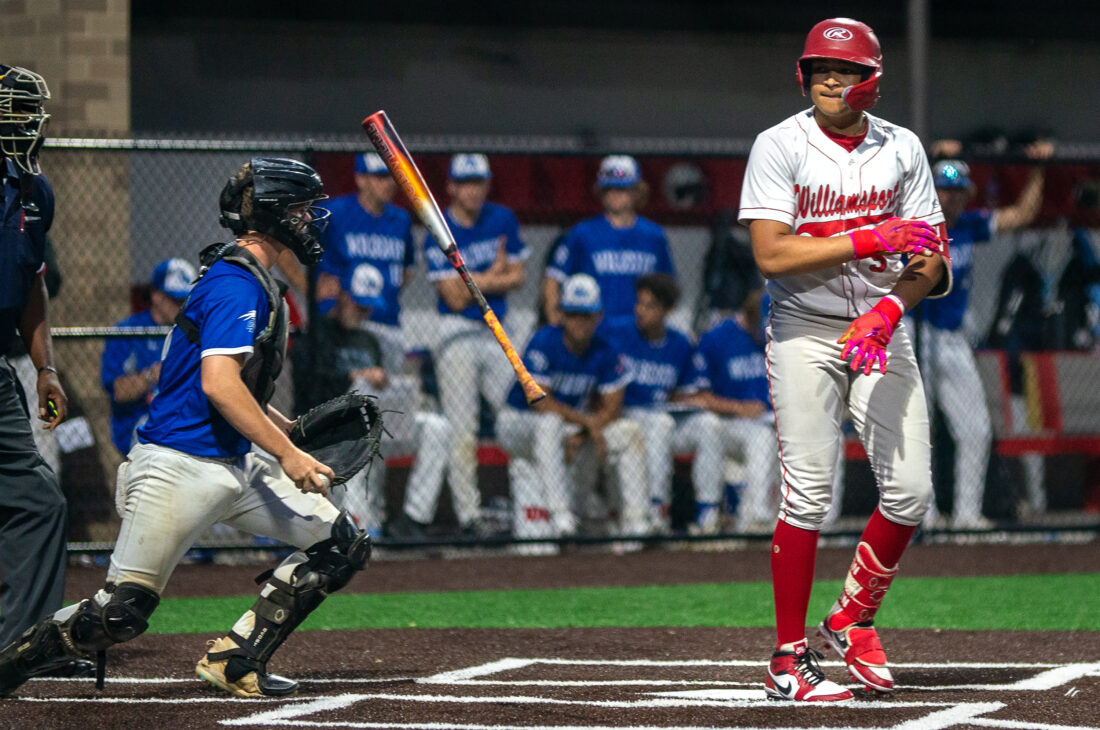 Local roundup: Williamsport baseball rallies to beat Central Mountain ...